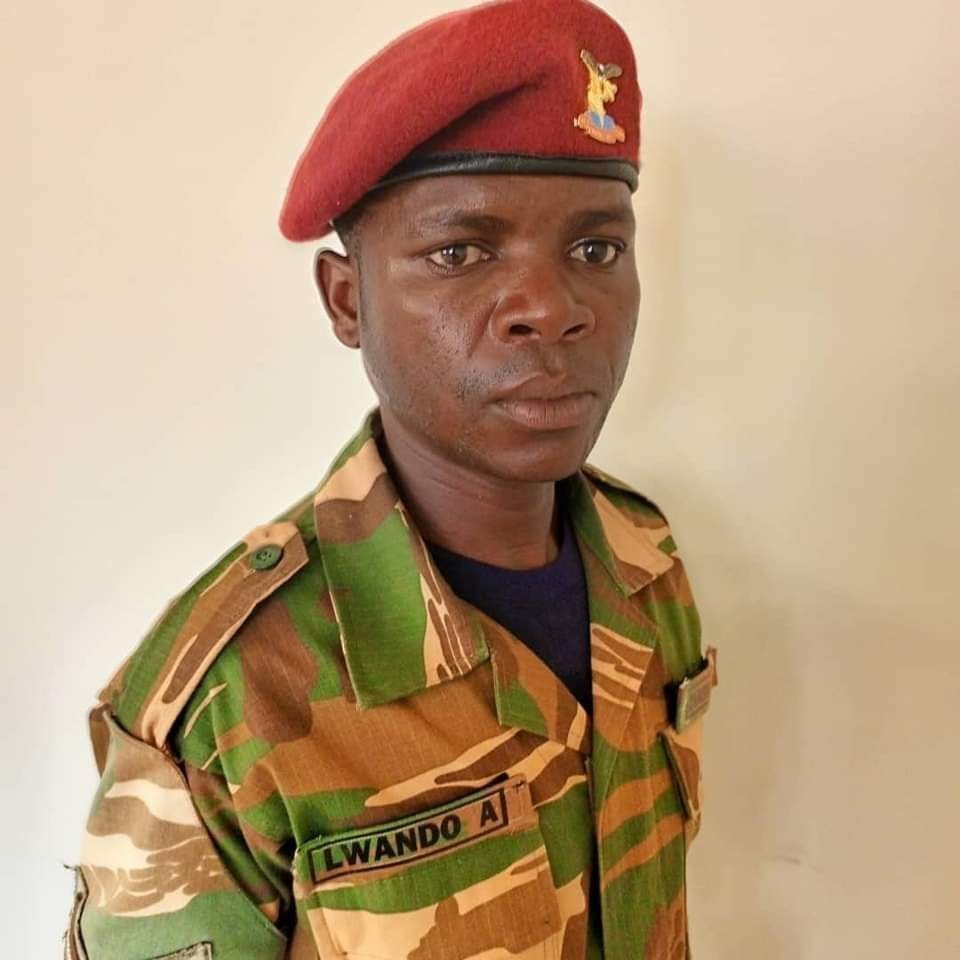 SOLDIER GETS PRESIDENTIAL PROMOTION – The Zambian Observer