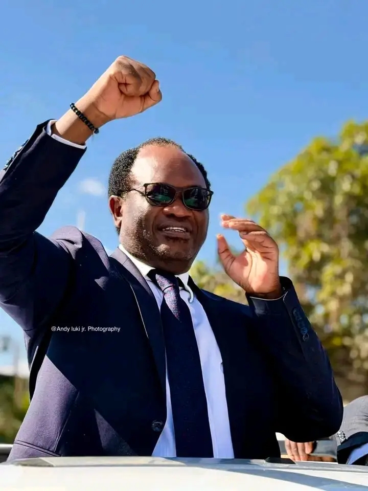 UPND INTIMIDATING CANDIDATES INTO WITHDRAWING – MUNDUBILE - The Zambian ...
